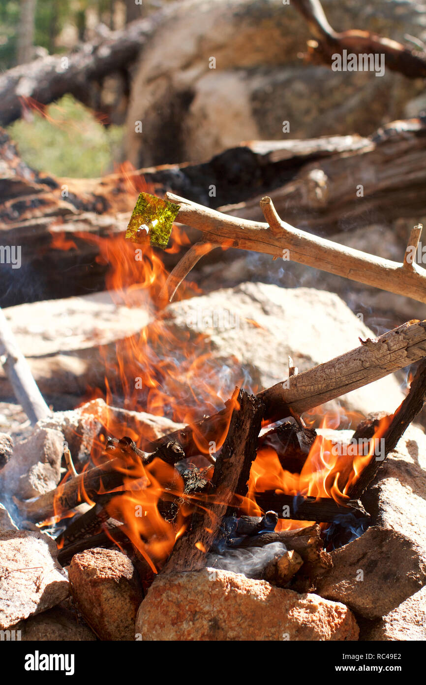Campfire forest hi-res stock photography and images - Alamy