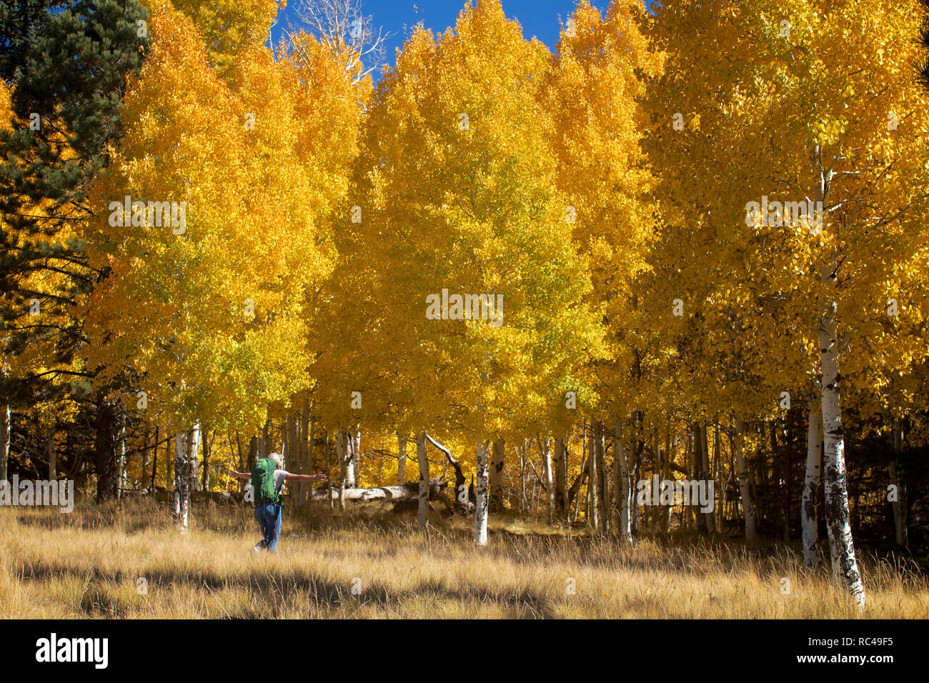 Flagstaff peak hi-res stock photography and images - Alamy