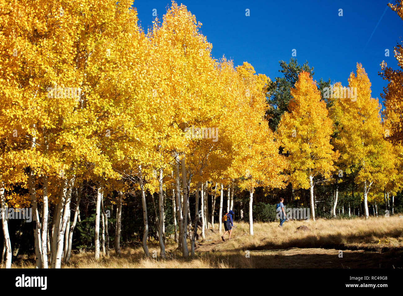 Flagstaff outdoors hi-res stock photography and images - Alamy