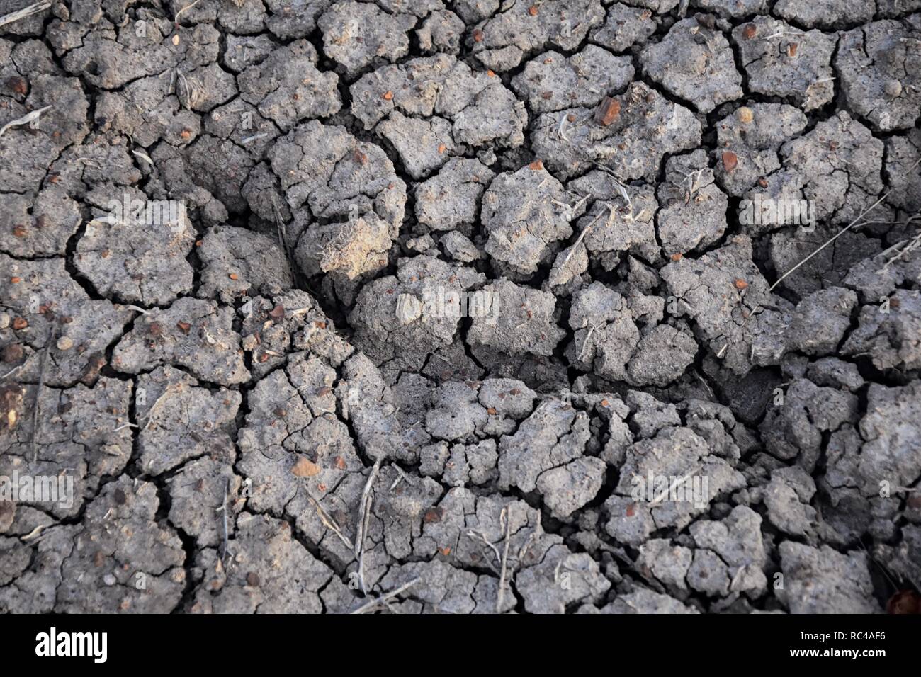 Dry soil abstract background. Drought. Gray dry soil. Soil background ...