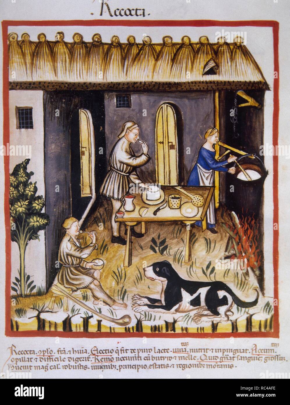 Tacuinum Sanitatis. 14th century. Medieval handbook of health. White ...