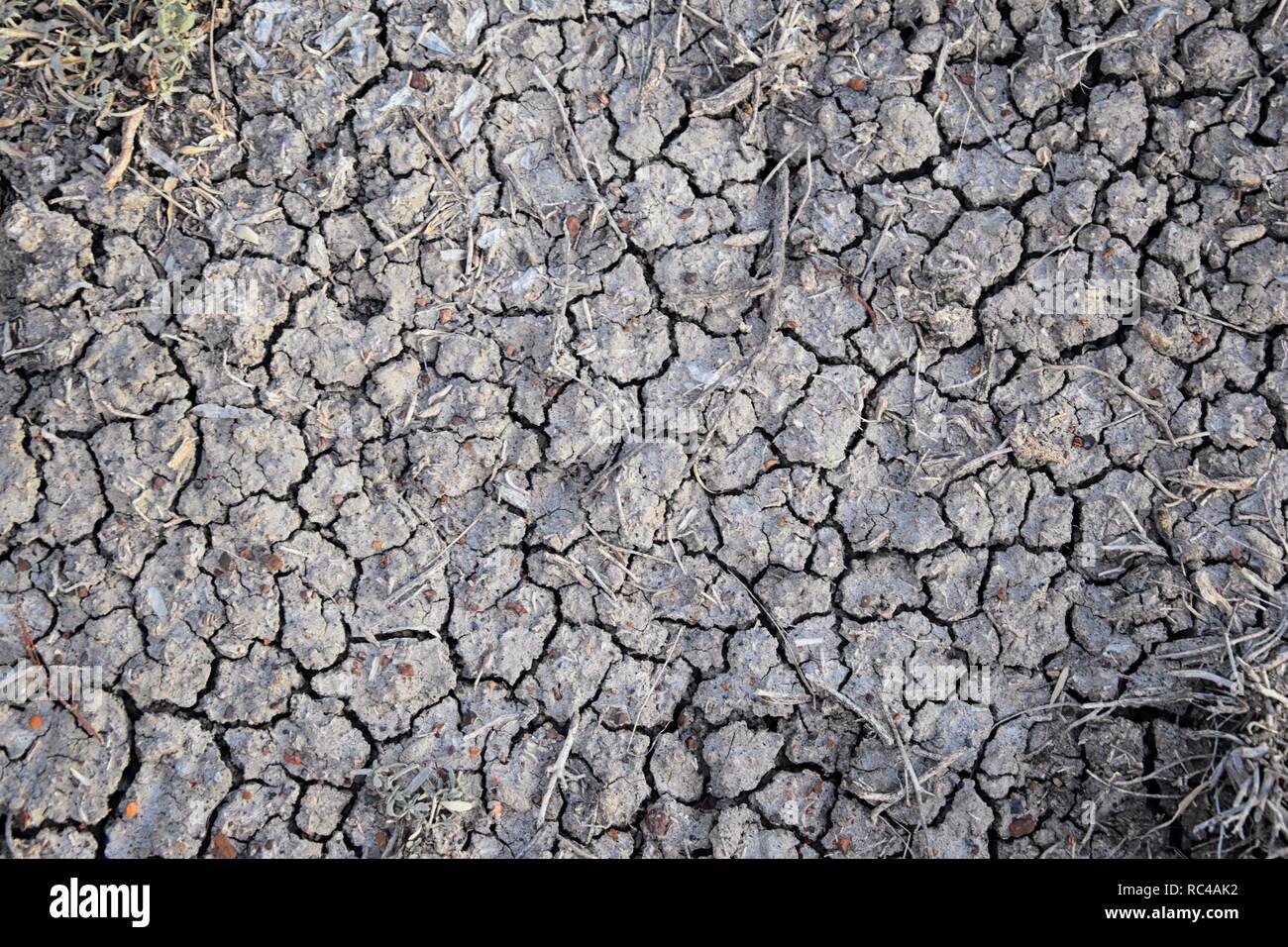 Dry soil abstract background. Drought. Gray dry soil. Soil background ...