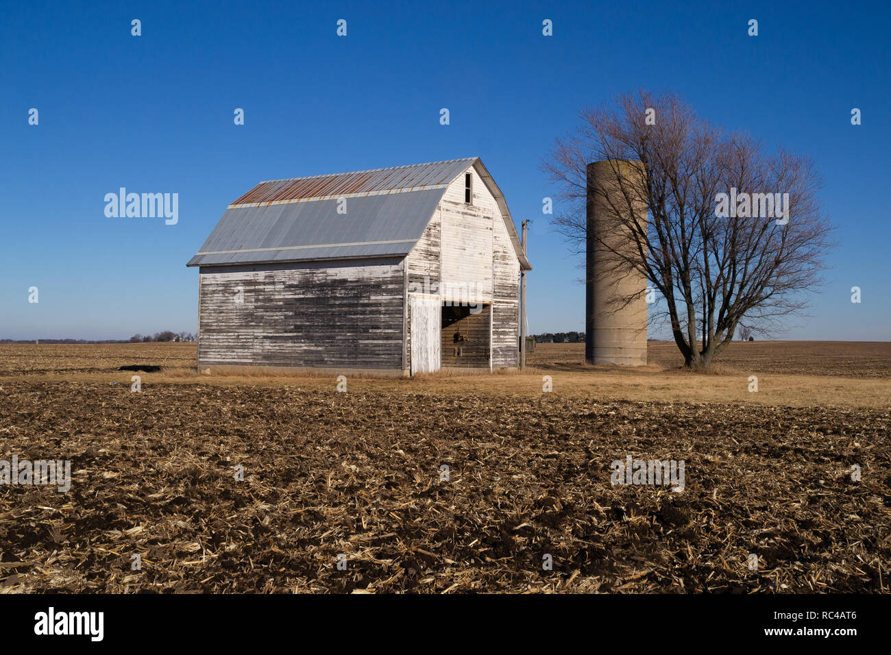 The old white barn in the rural countryside in the late afternoon light ...