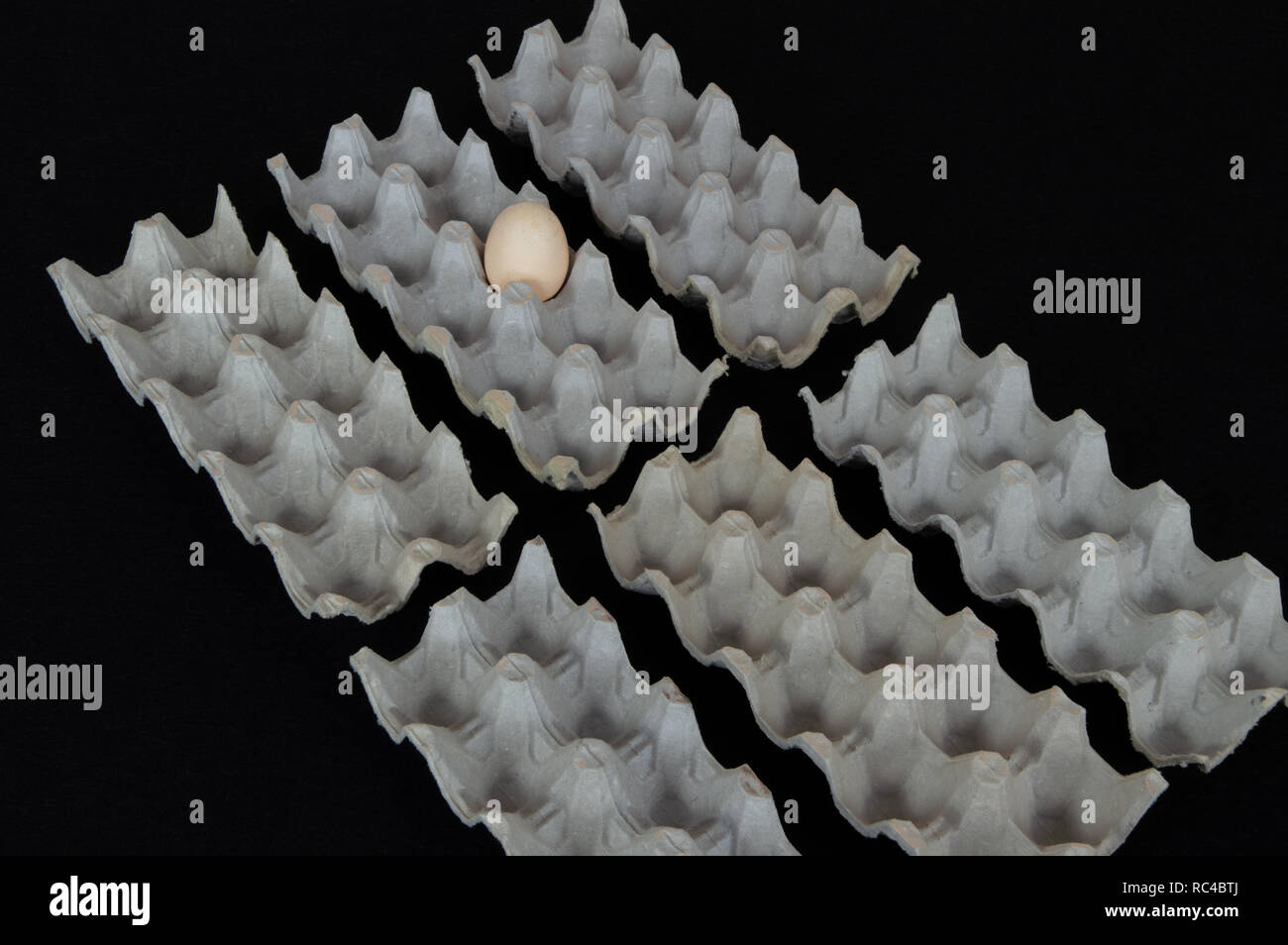 Empty egg boxes hi-res stock photography and images - Alamy
