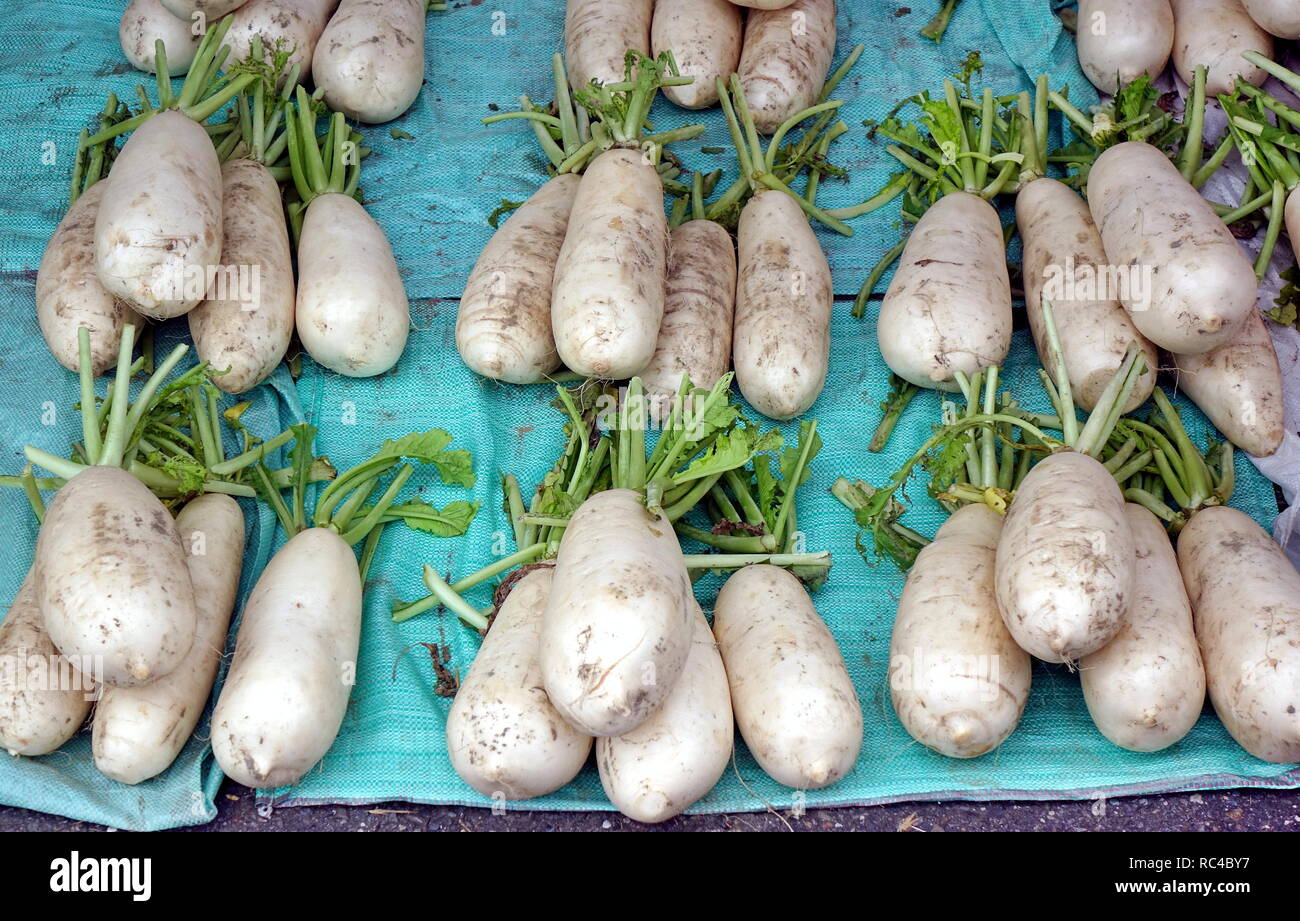 Chinese daikon hi-res stock photography and images - Alamy