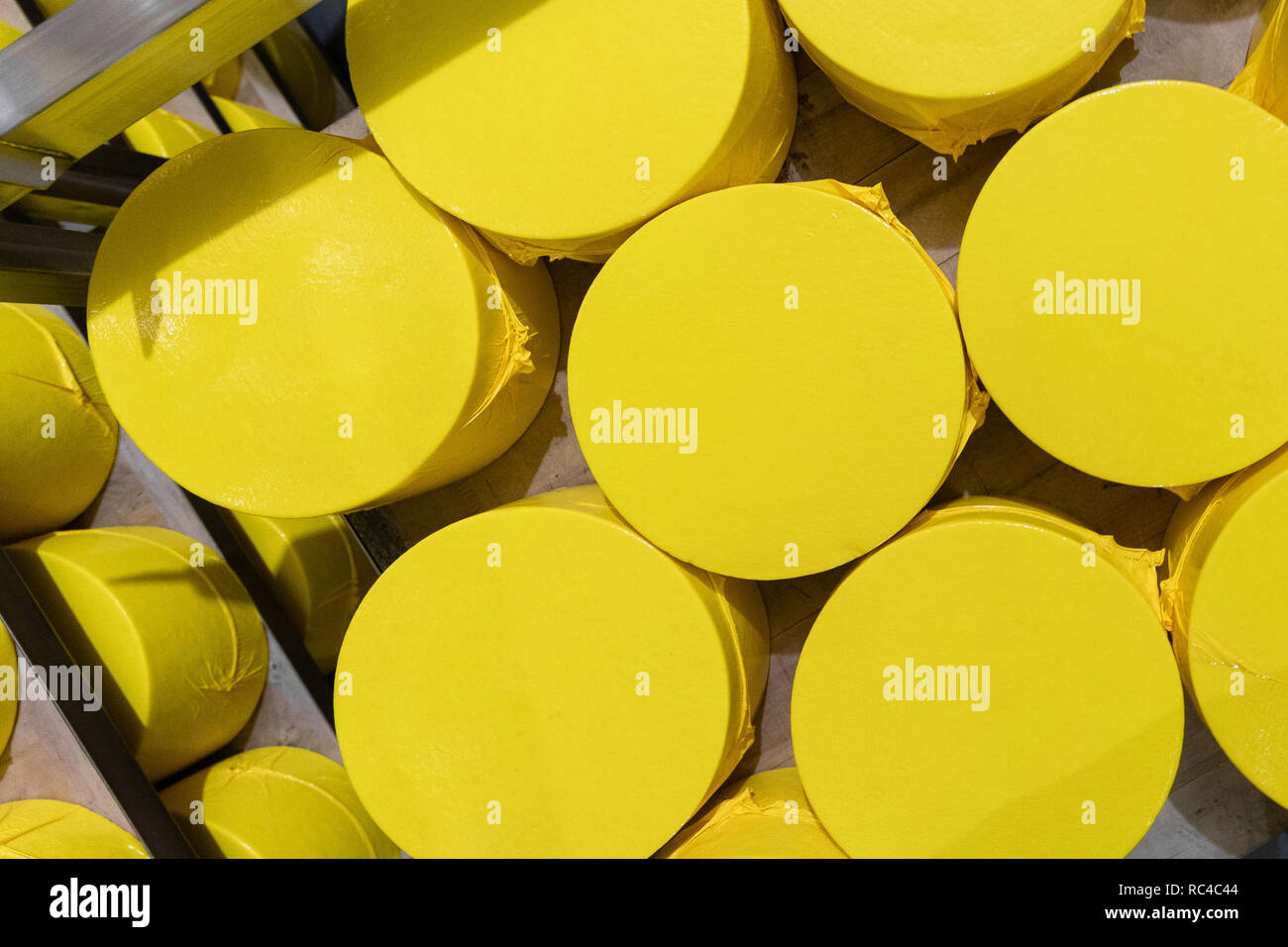 Big heads of fresh yellow cheese isolated on cheese warehouse Stock ...