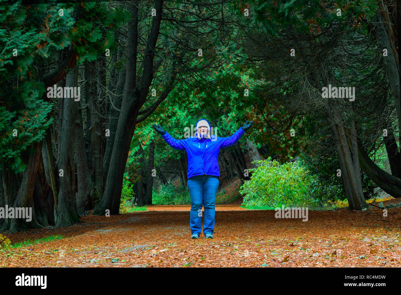Woman standing among trees hi-res stock photography and images - Alamy