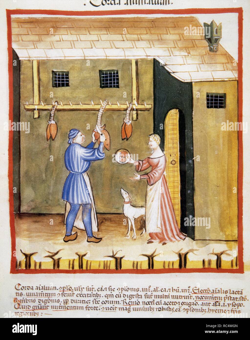 Tacuinum Sanitatis. 14th century. Medieval handbook of health. Drying ...