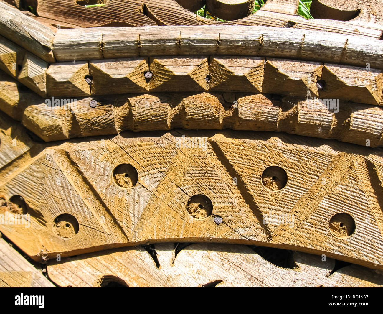 The device of a wooden clypeus. Clypeus window Stock Photo - Alamy