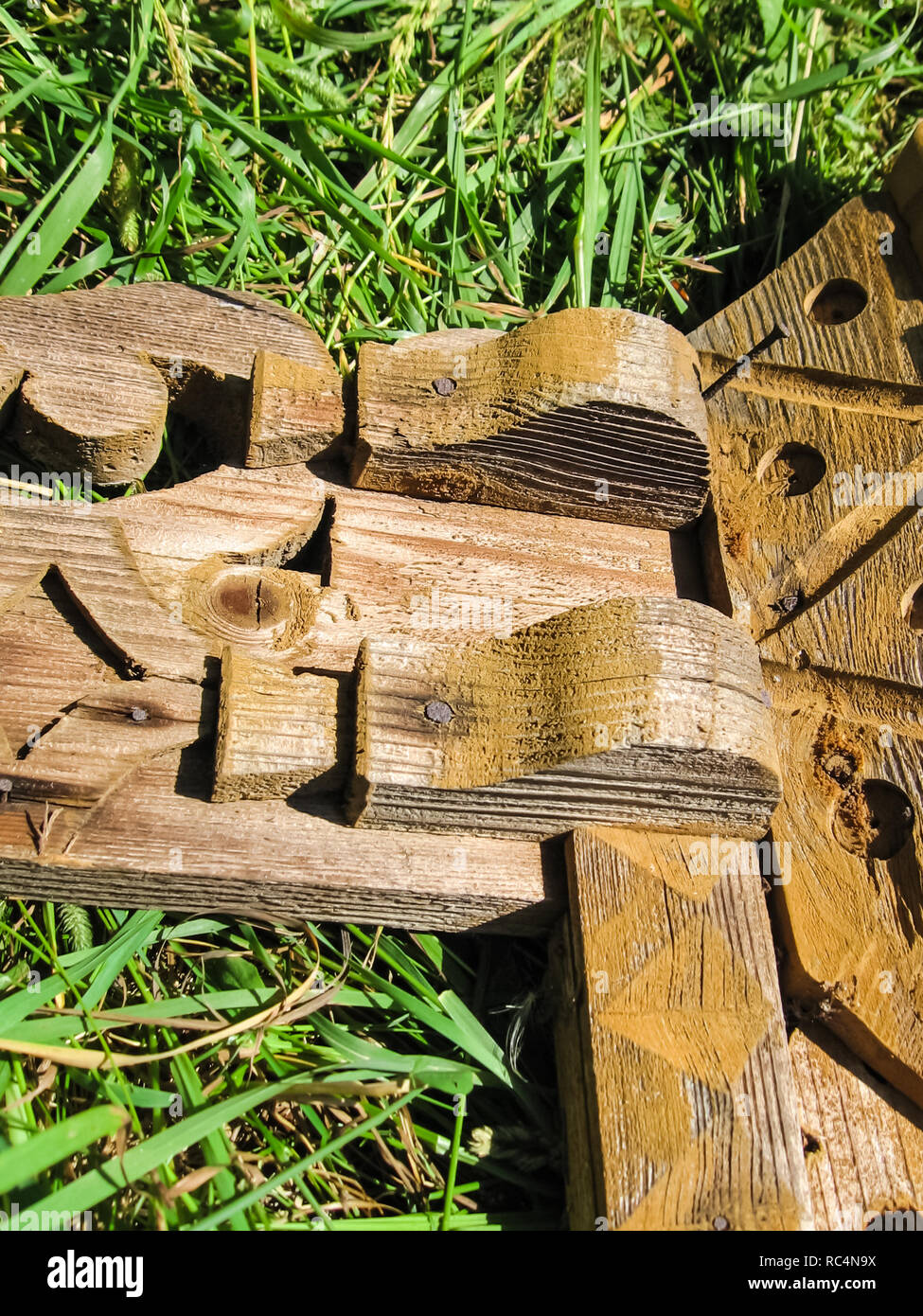 The device of a wooden clypeus. Clypeus window Stock Photo - Alamy