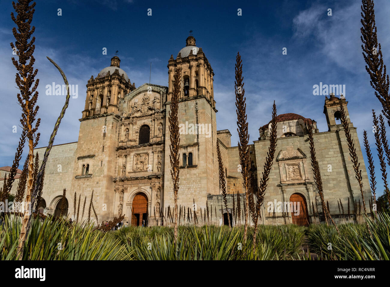 Santo Domingo church at Oaxaca, Mexico Stock Photo - Alamy