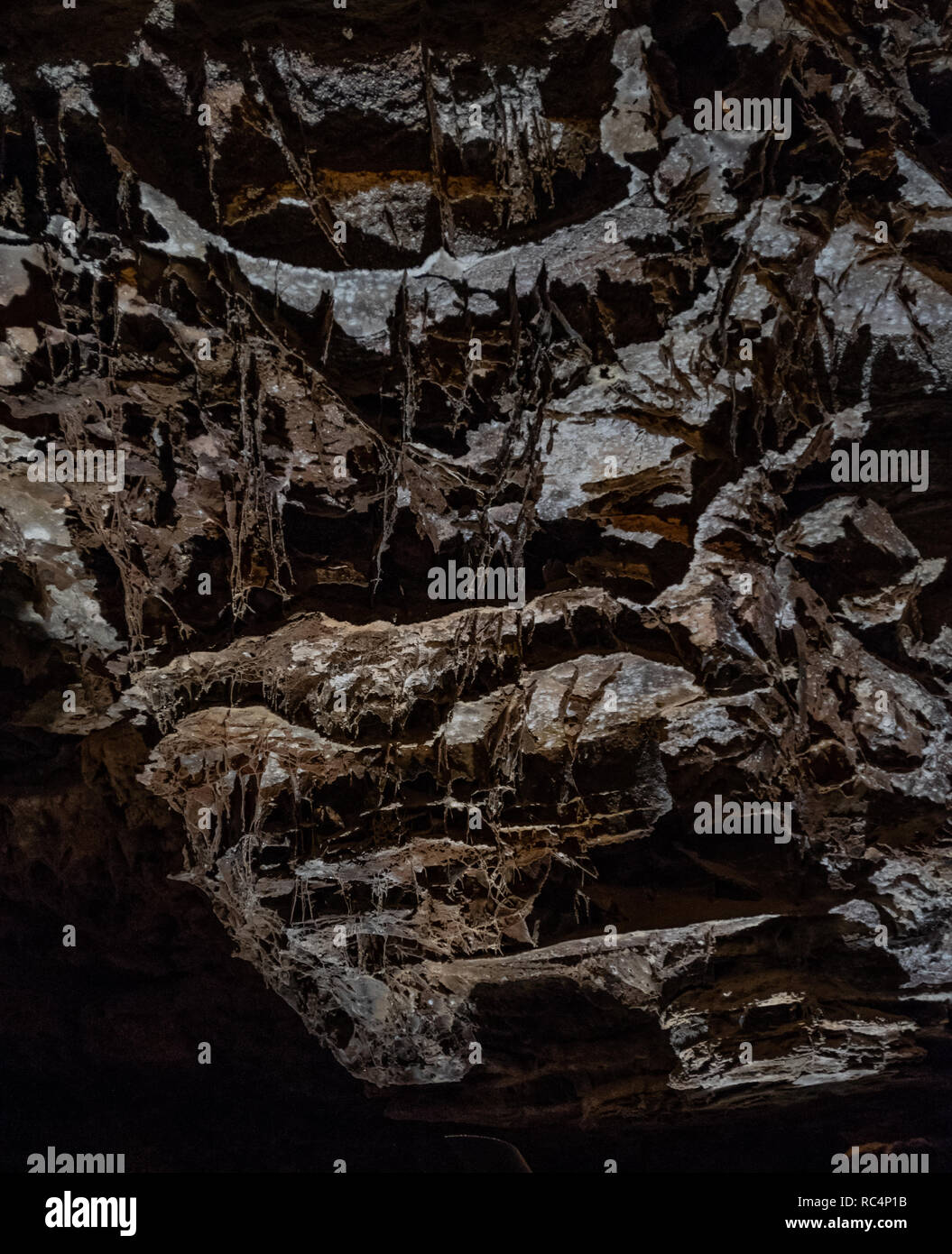 Boxwork texture hi-res stock photography and images - Alamy