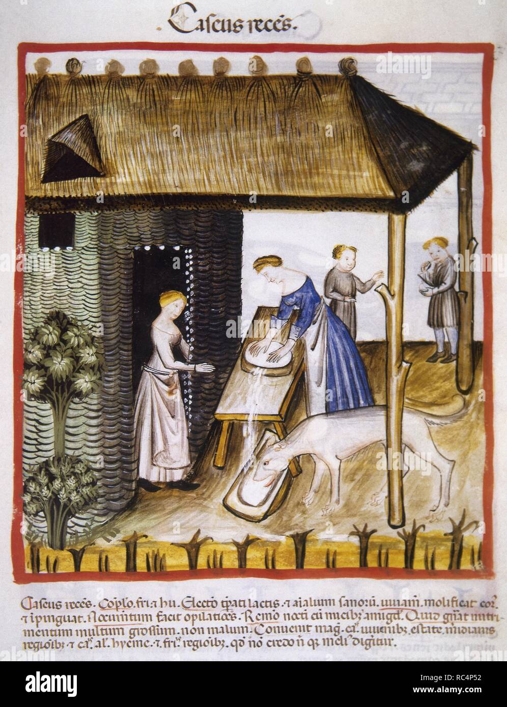 Tacuinum Sanitatis. 14th century. Medieval handbook of health. Fresh or ...