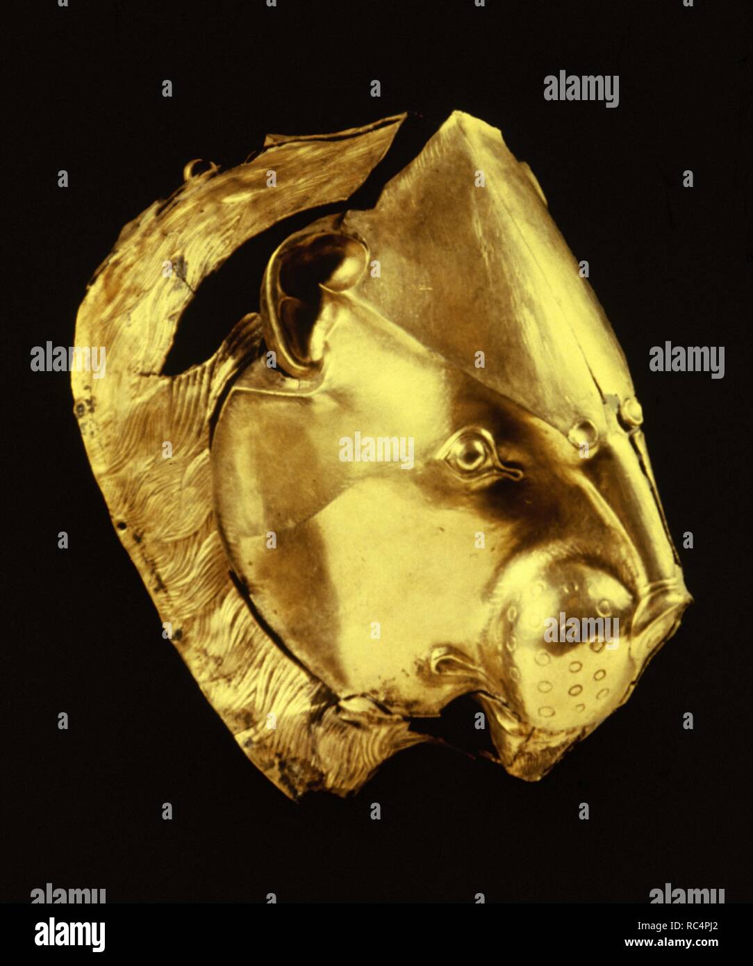 Rhyton In The Shape Of A Lions Head