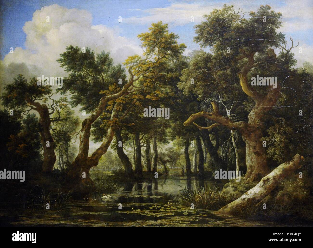 Jacob van Ruysdael (c.1628-1682). Dutch painter. The Marsh, 1660s. The ...