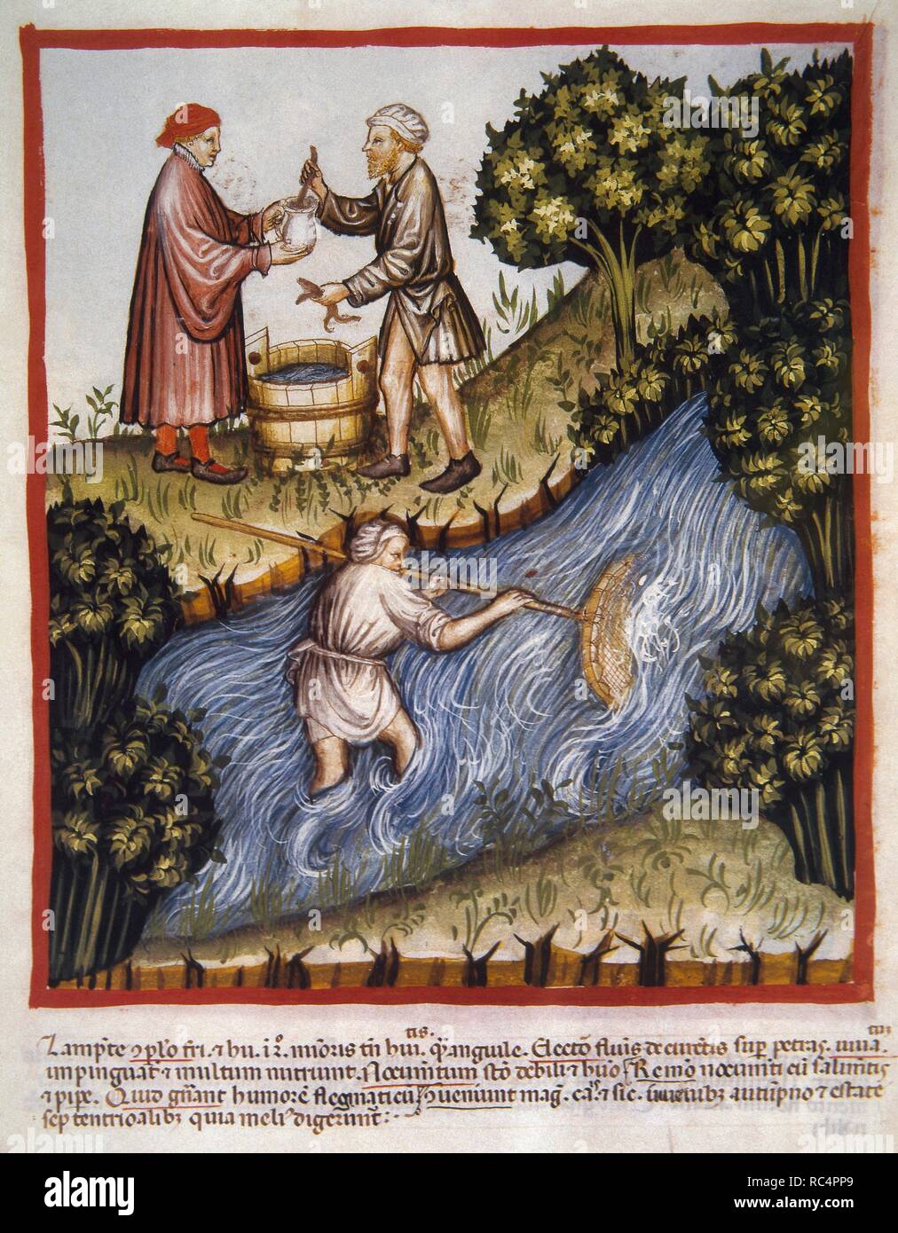 Tacuinum Sanitatis. 14th century. Medieval handbook of health. Lampreys ...