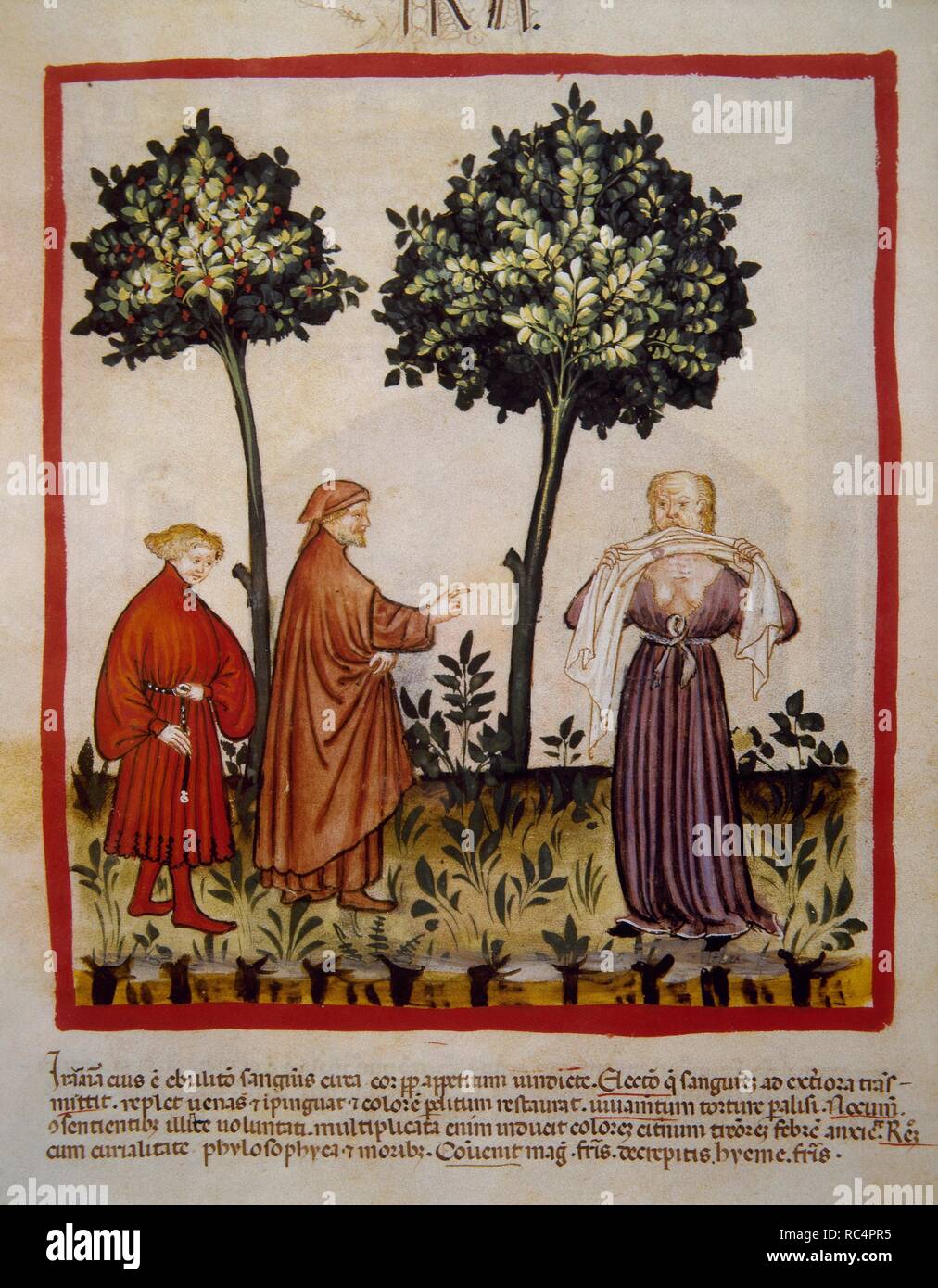 Tacuinum Sanitatis. 14th century. Medieval handbook of health. A man ...