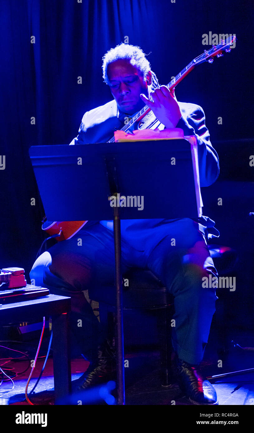 Bruce le poisson hi-res stock photography and images - Alamy