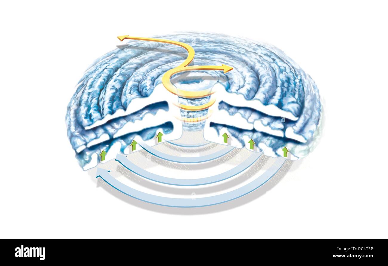Structure of a hurricane Stock Photo - Alamy