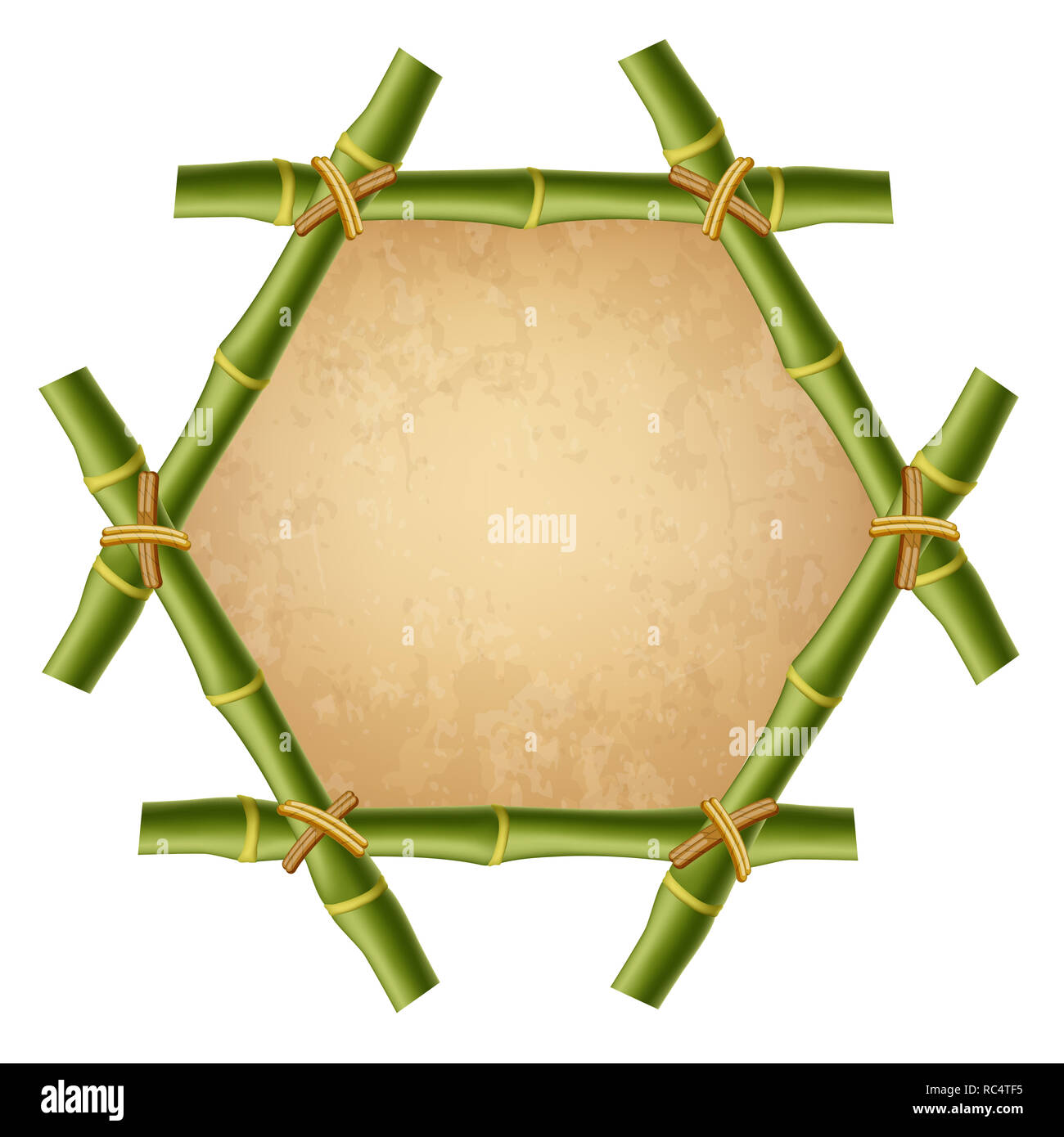 hexagonal green bamboo stick border isolated on white background ...