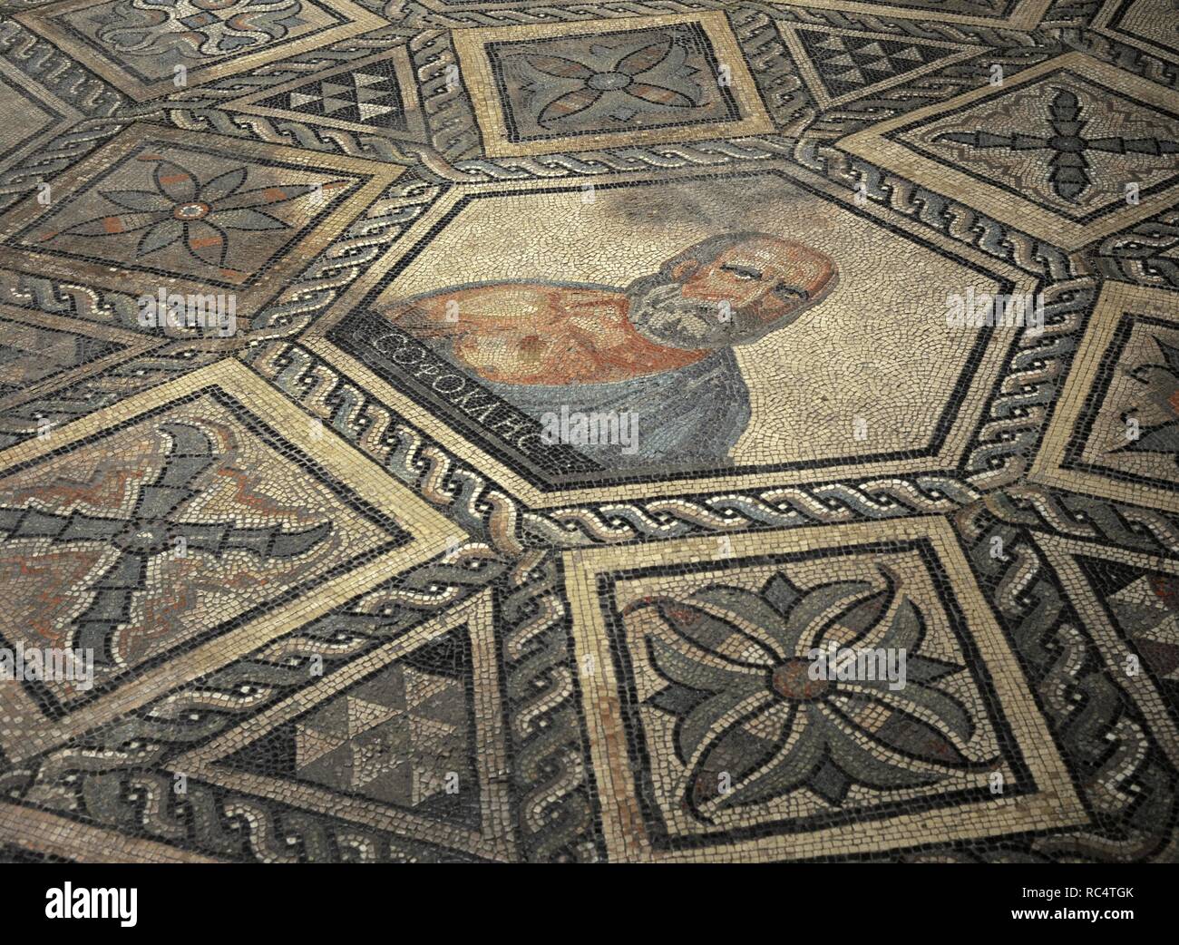 Sophocles (496-406 BC). Greek tragic poet. Portrait of the poet. Mosaic ...