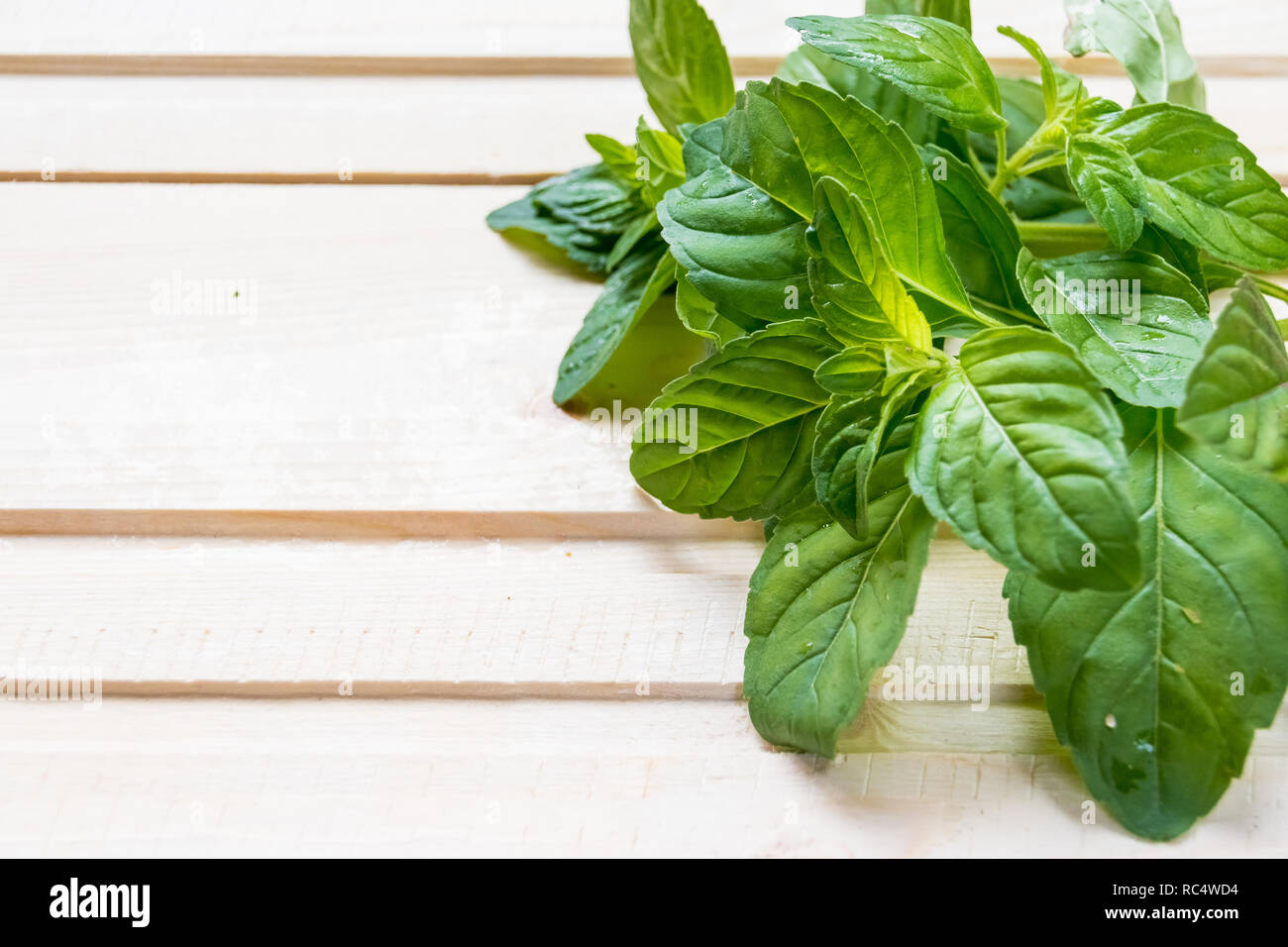 Mint. Bunch of Fresh green organic mint leaf on wooden table closeup ...