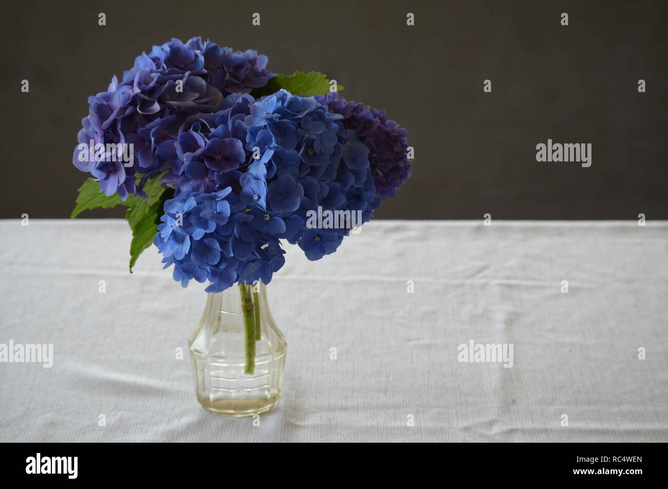 Blue hydrangeas in vase on table Stock Photo - Alamy