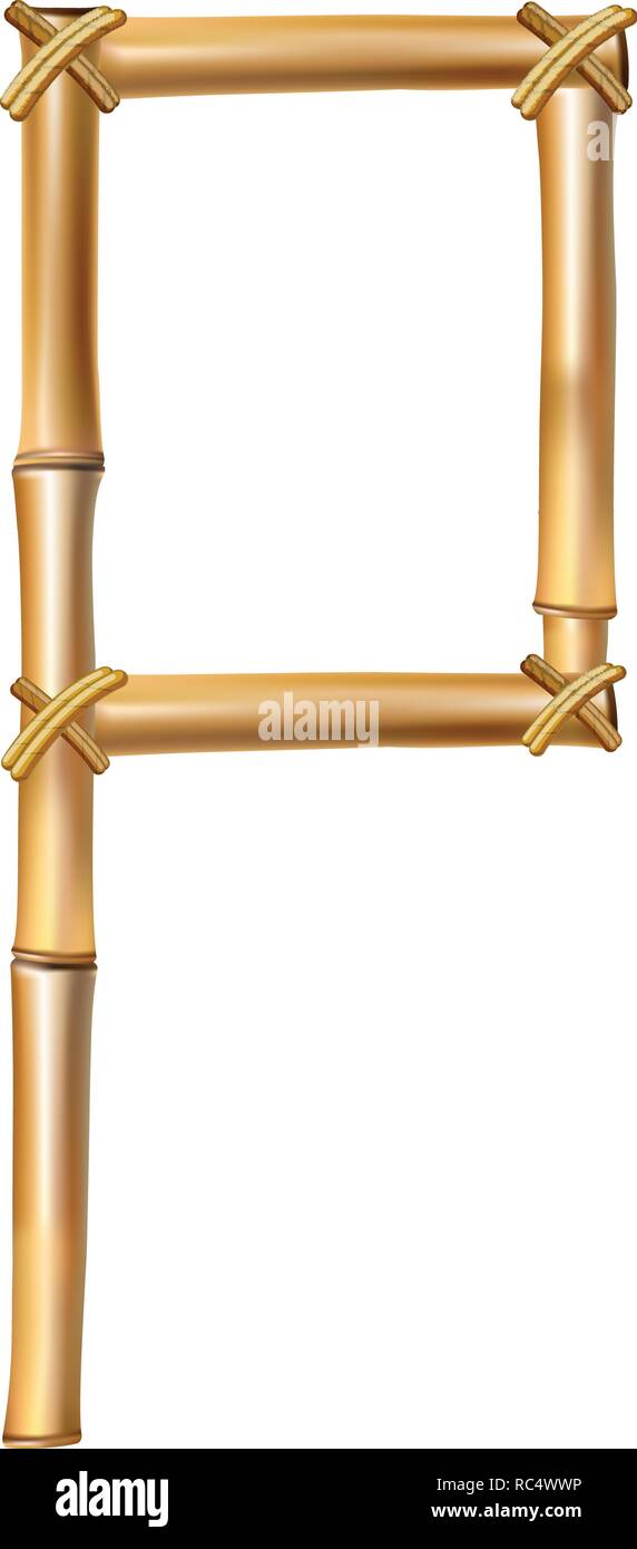 Vector bamboo alphabet. Capital letter P made of realistic brown dry ...