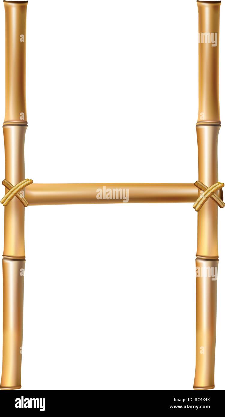 Vector bamboo alphabet. Capital letter H made of realistic brown dry ...