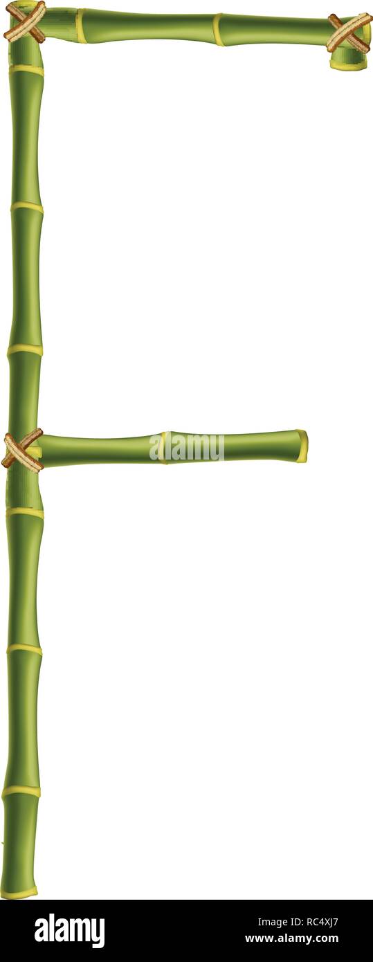Vector bamboo alphabet. Capital letter F made of realistic green bamboo ...