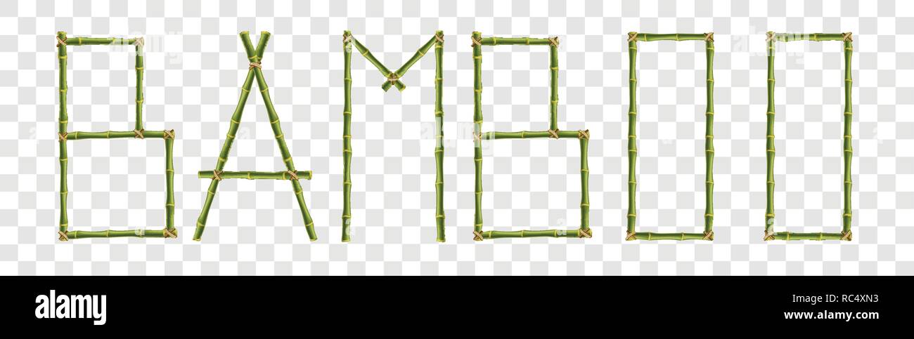 Vector word bamboo of capital letters made of realistic green bamboo ...