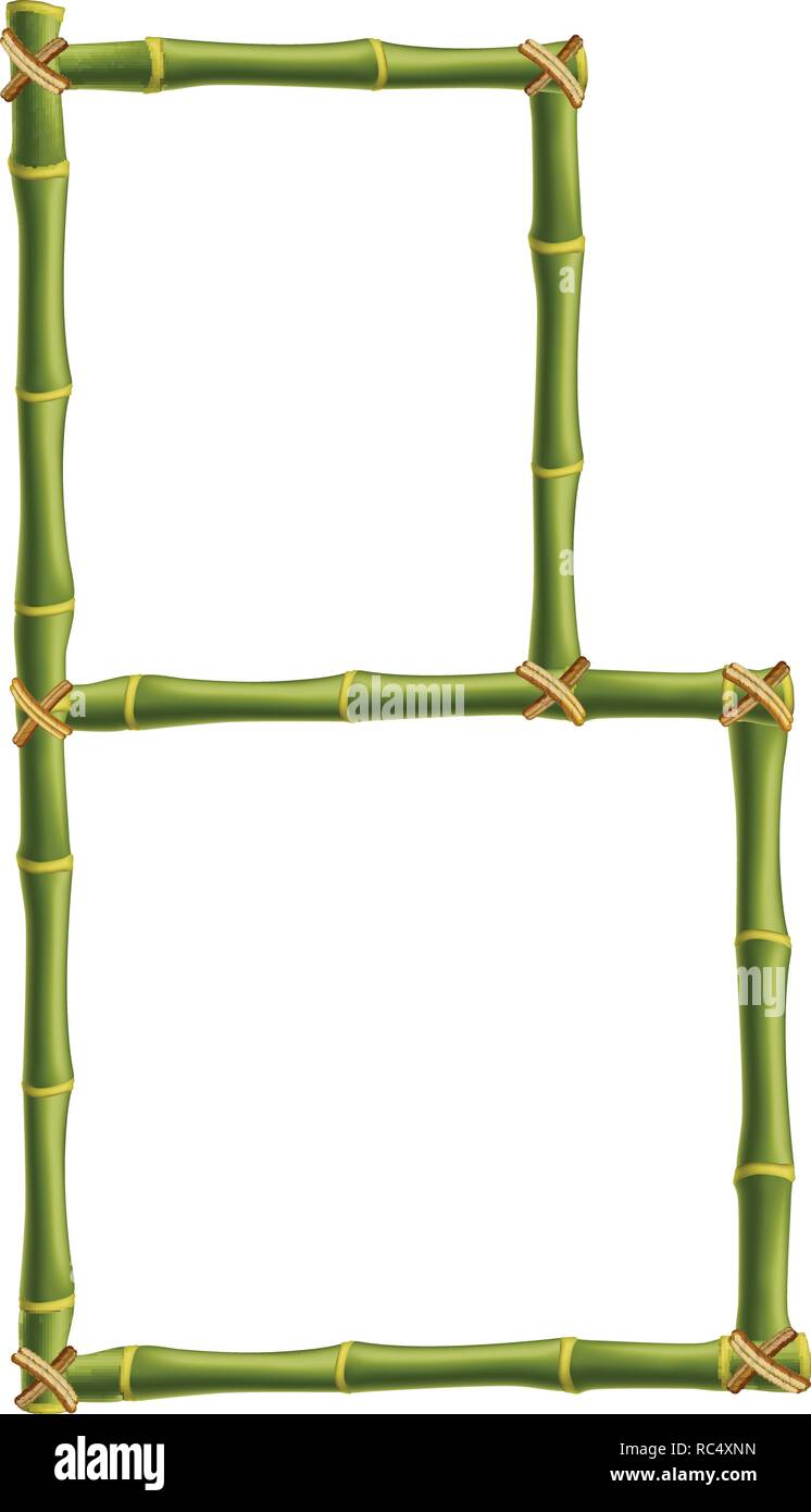 Vector bamboo alphabet. Capital letter B made of realistic green bamboo ...