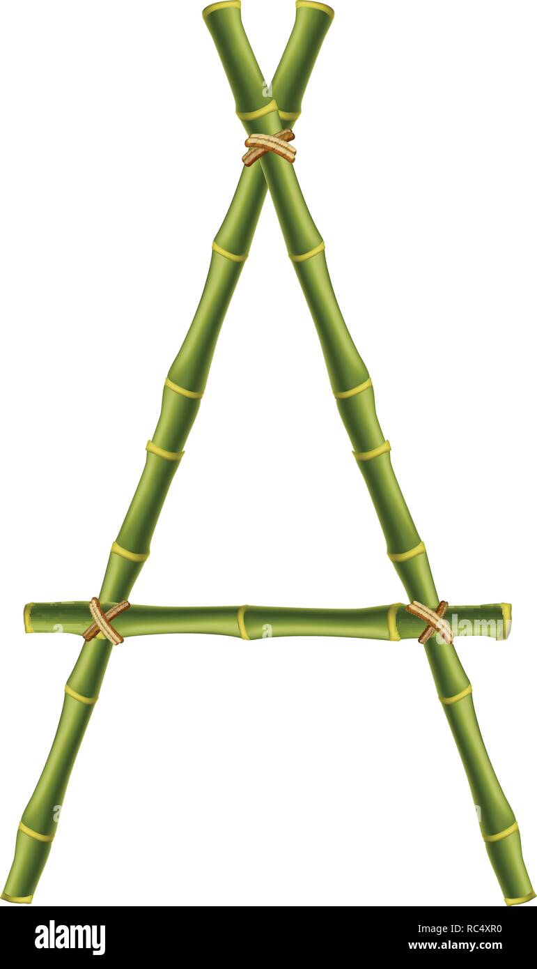 Vector bamboo alphabet. Capital letter A made of realistic green bamboo ...
