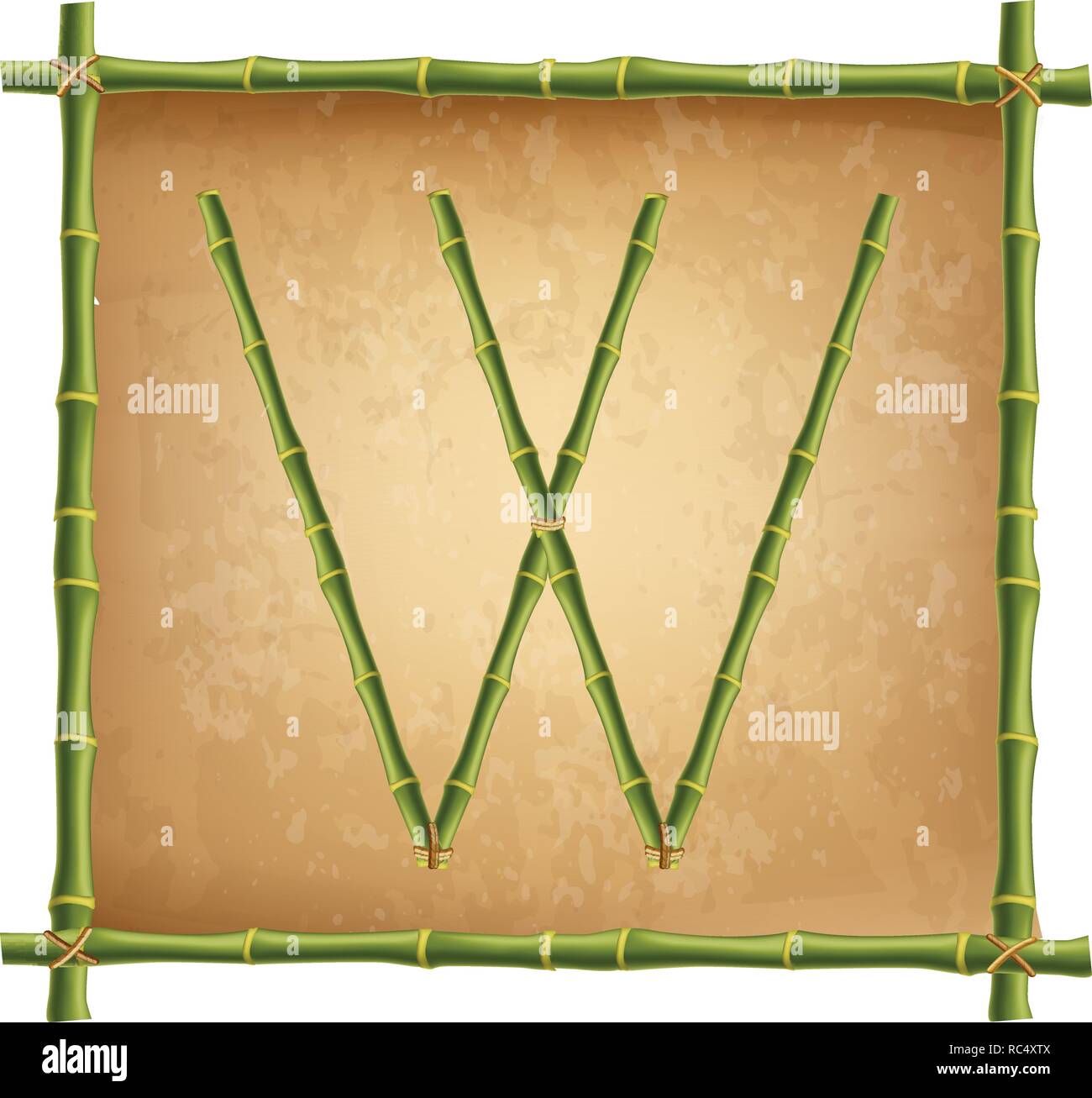 Vector bamboo alphabet. Capital letter W made of realistic green bamboo ...