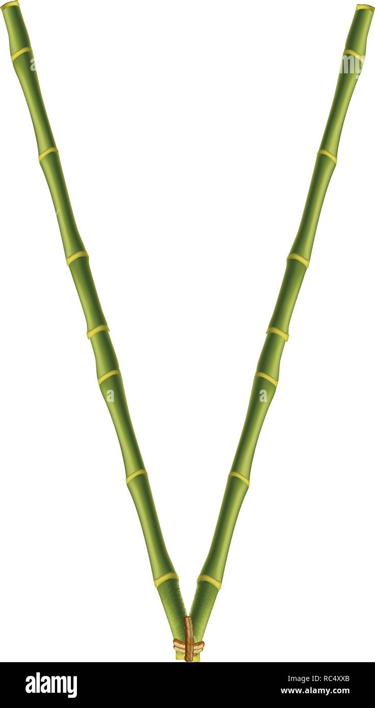 Vector bamboo alphabet. Capital letter V made of realistic green bamboo ...