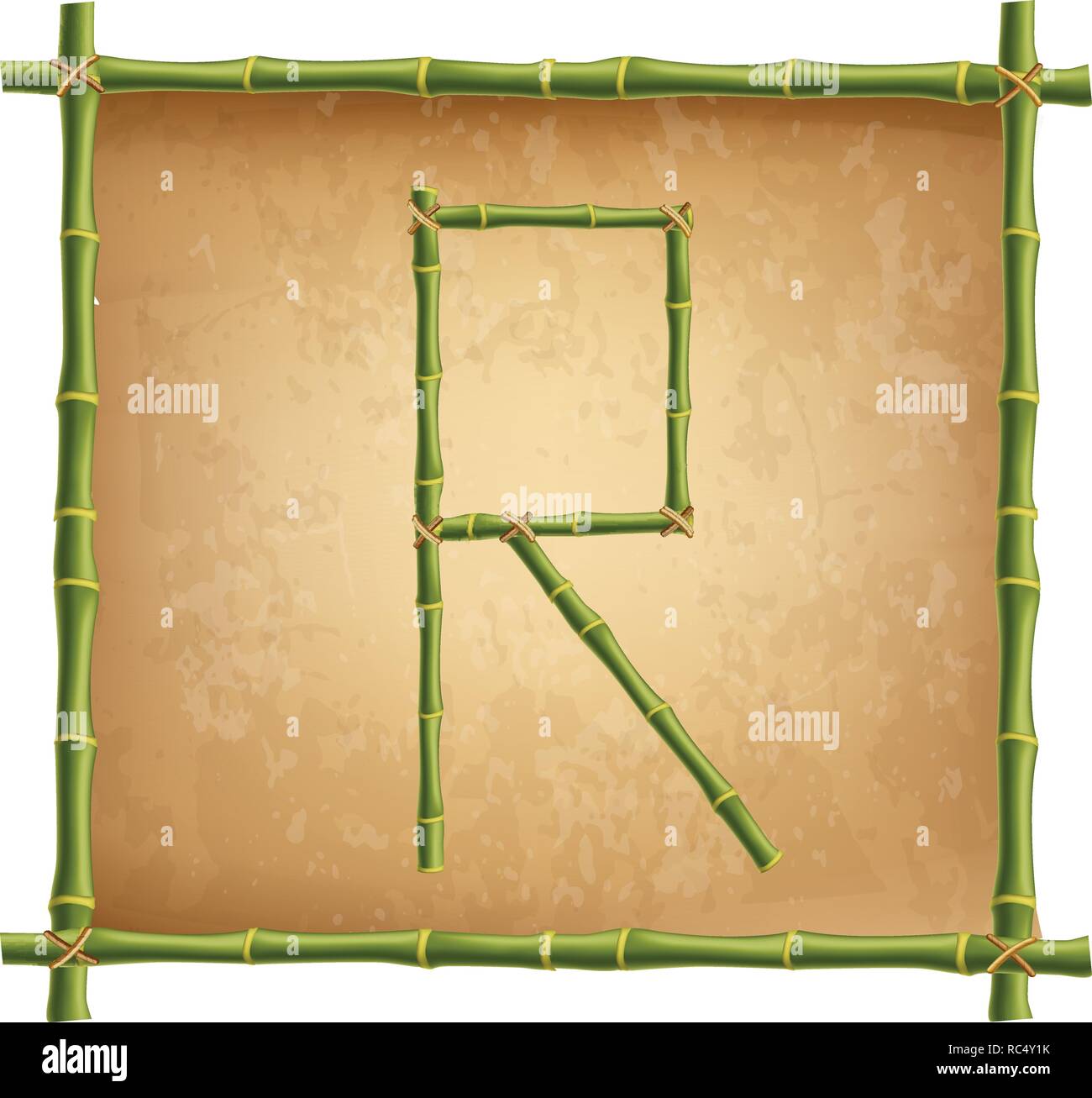 Vector bamboo alphabet. Capital letter R made of realistic green bamboo ...