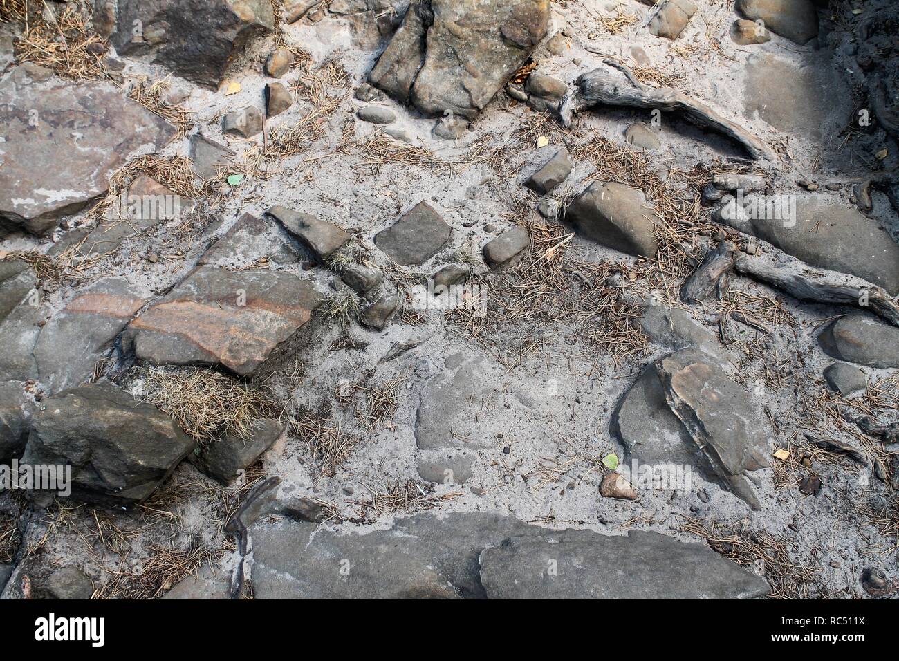 Close up high resolution surface of sand on the ground Stock Photo - Alamy