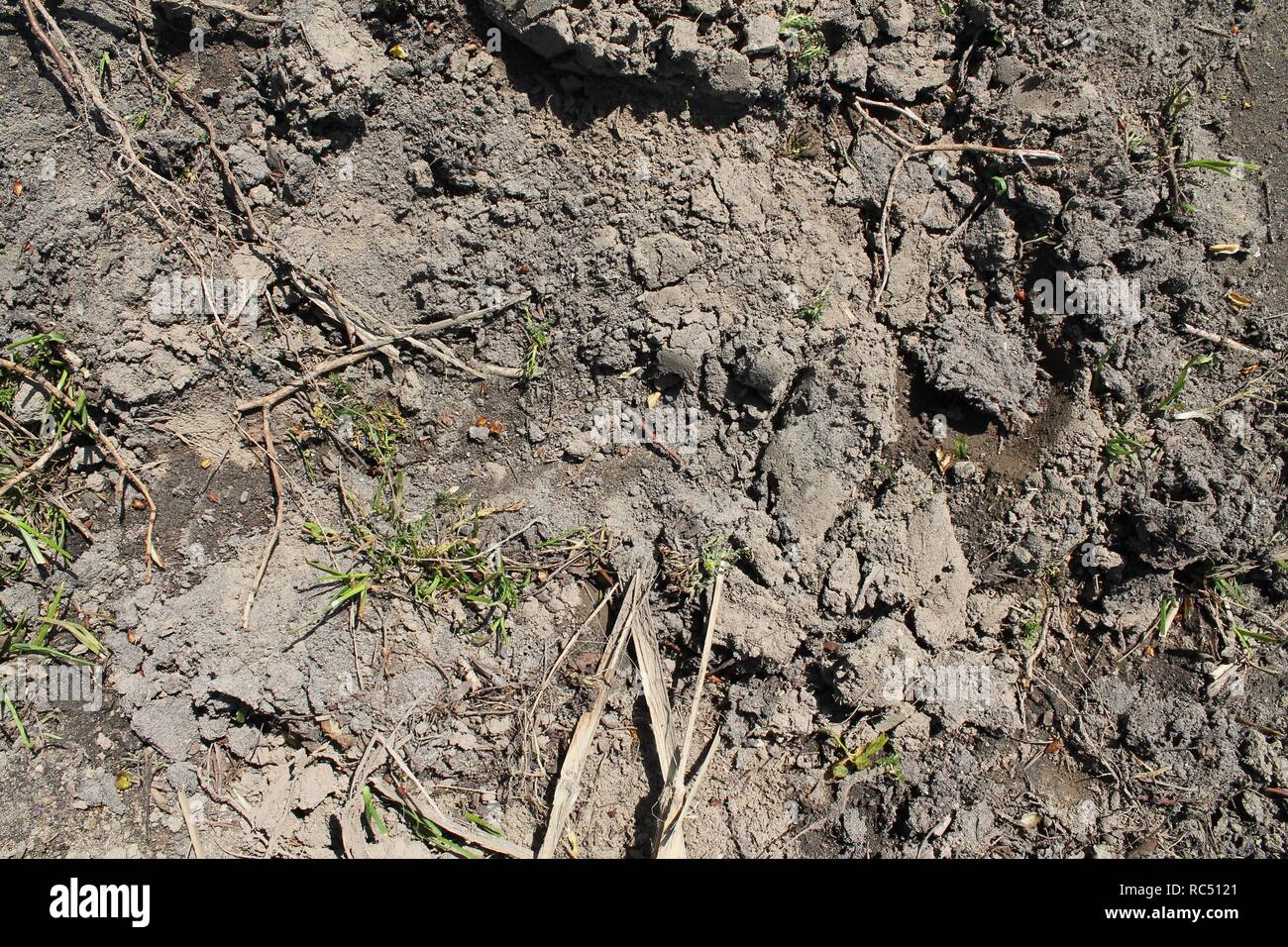 Close up high resolution surface of sand on the ground Stock Photo - Alamy