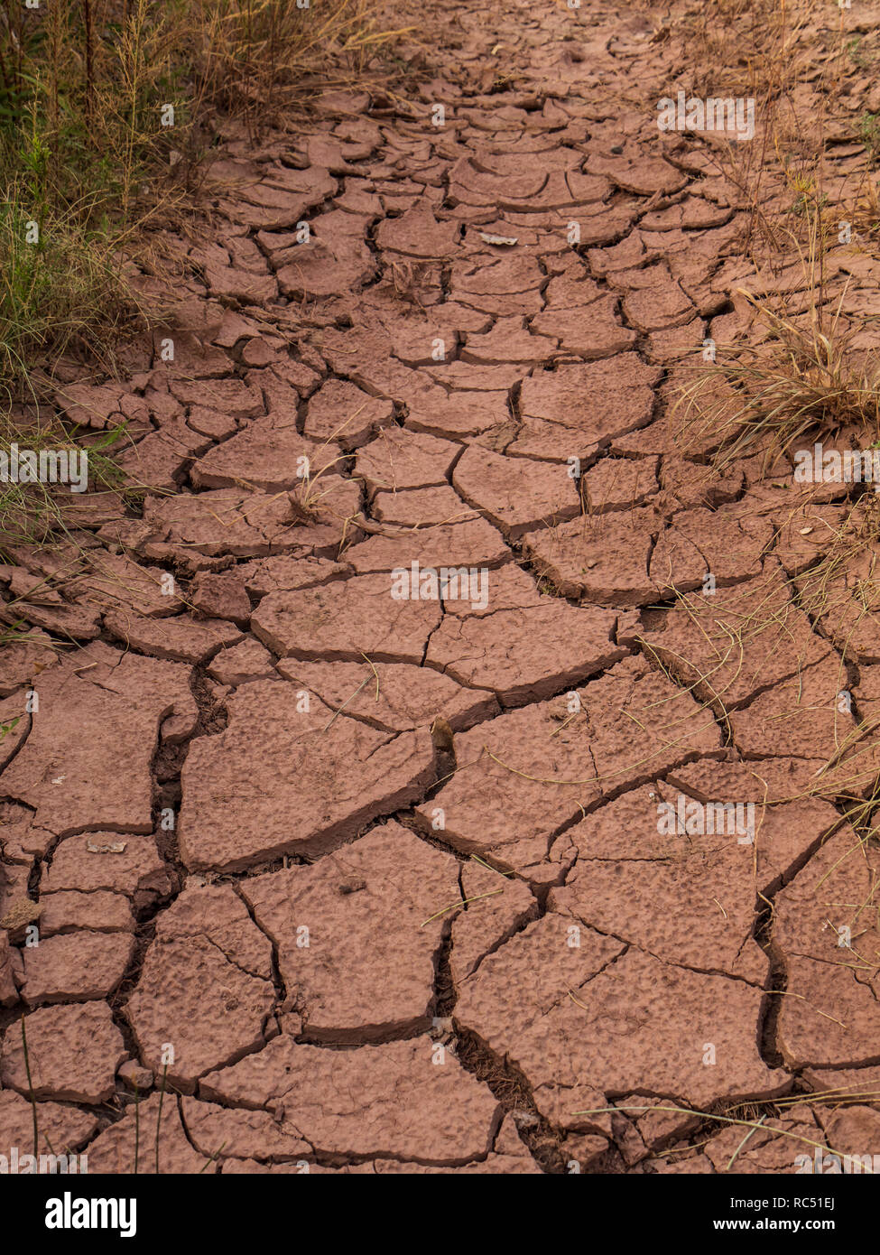 Dried mud beside Range Creek, Gray Canyon north of Green River, Utah ...
