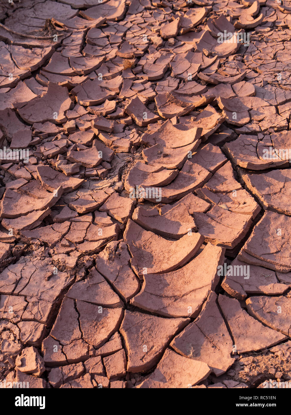 Dried mud beside Range Creek, Gray Canyon north of Green River, Utah ...