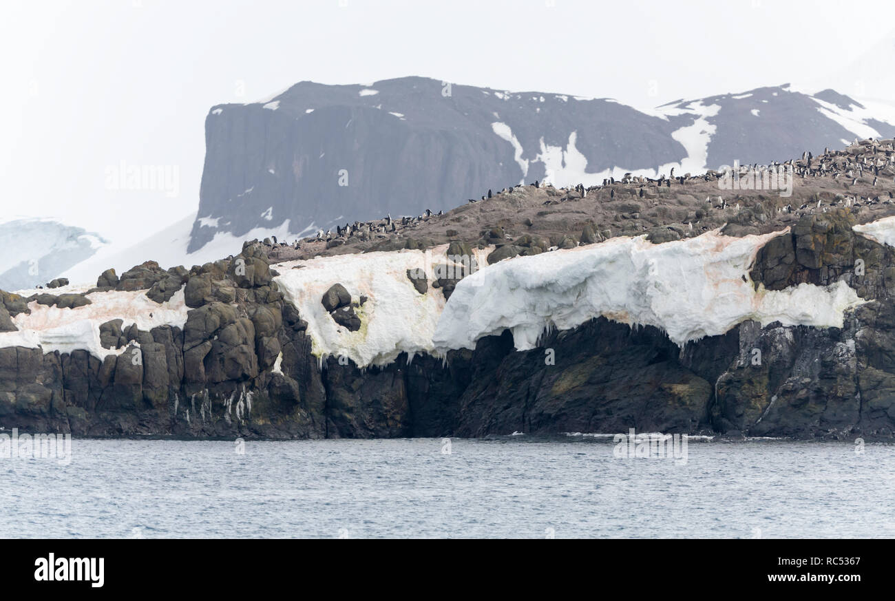 Nature and landscapes of Antarctica. Studying of a phenomenon of global ...