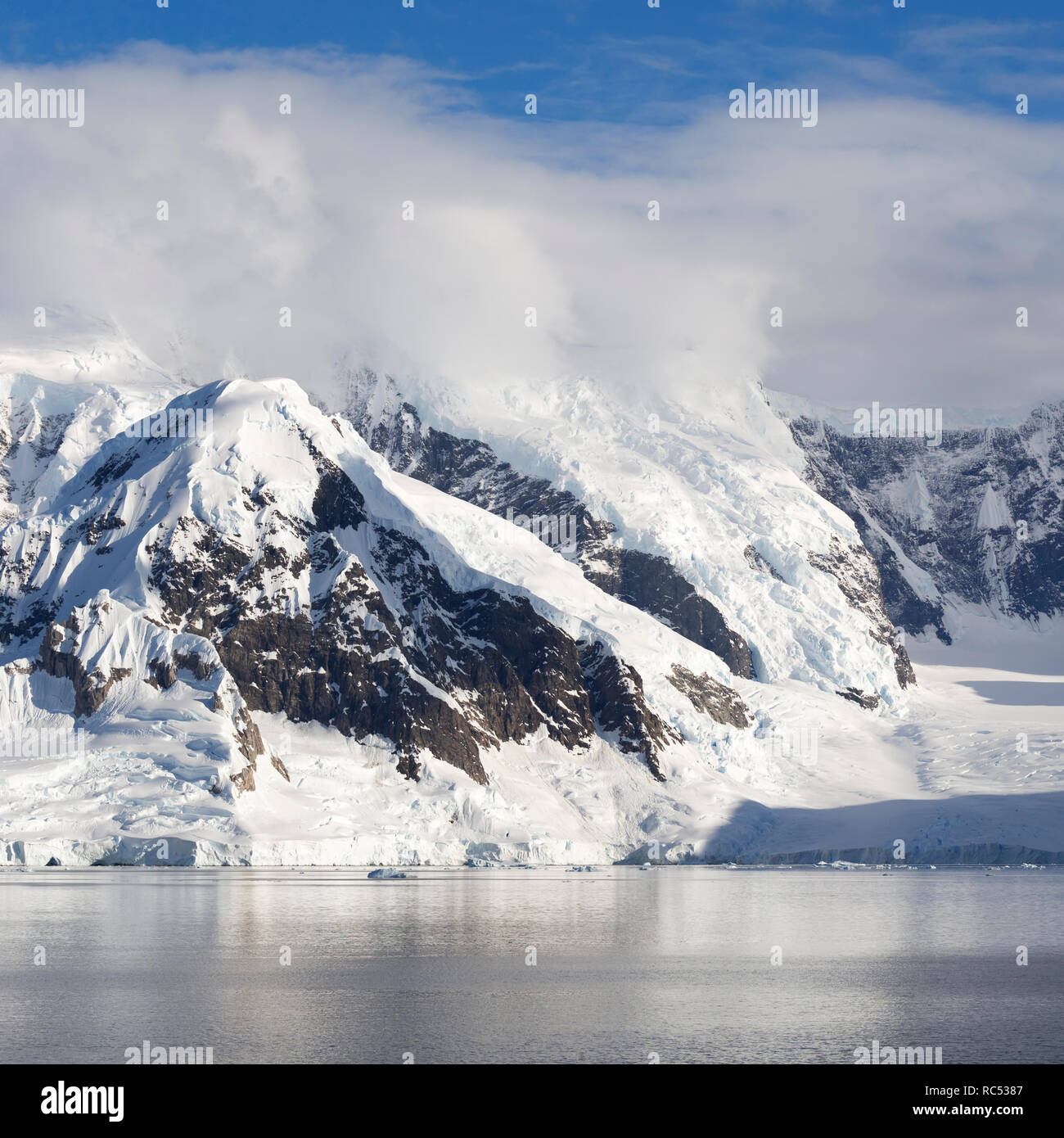 Nature and landscapes of Antarctica. Studying of a phenomenon of global ...