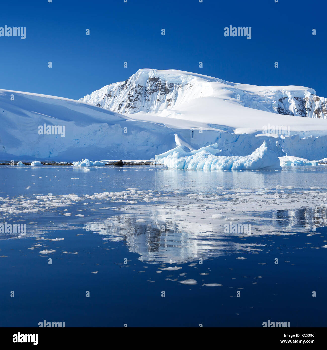 Nature and landscapes of Antarctica. Studying of a phenomenon of global ...