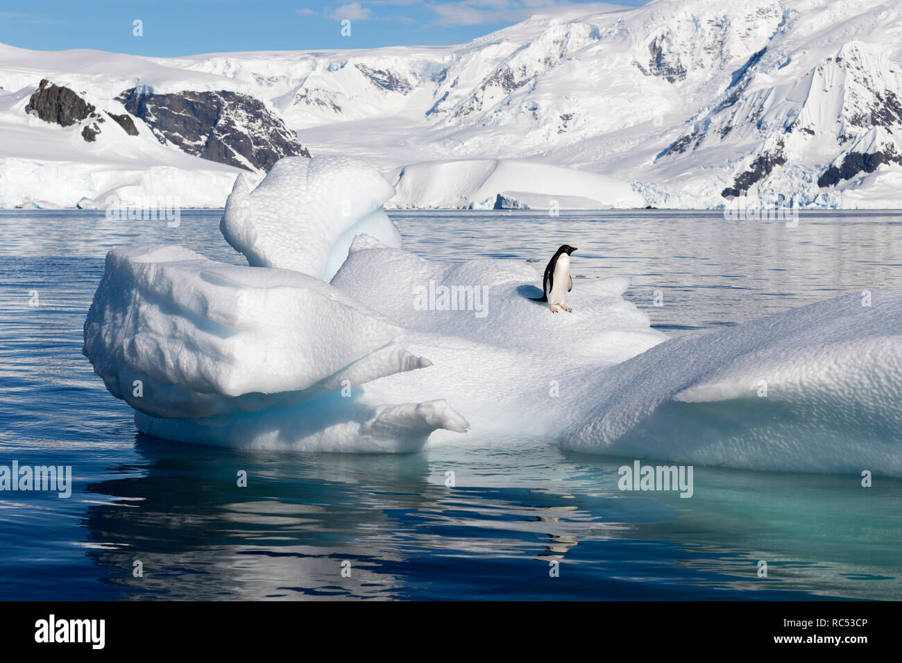 Nature and landscapes of Antarctica. Studying of a phenomenon of global ...