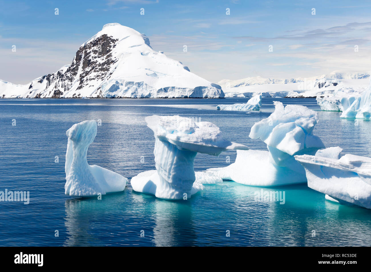 Nature and landscapes of Antarctica. Studying of a phenomenon of global ...