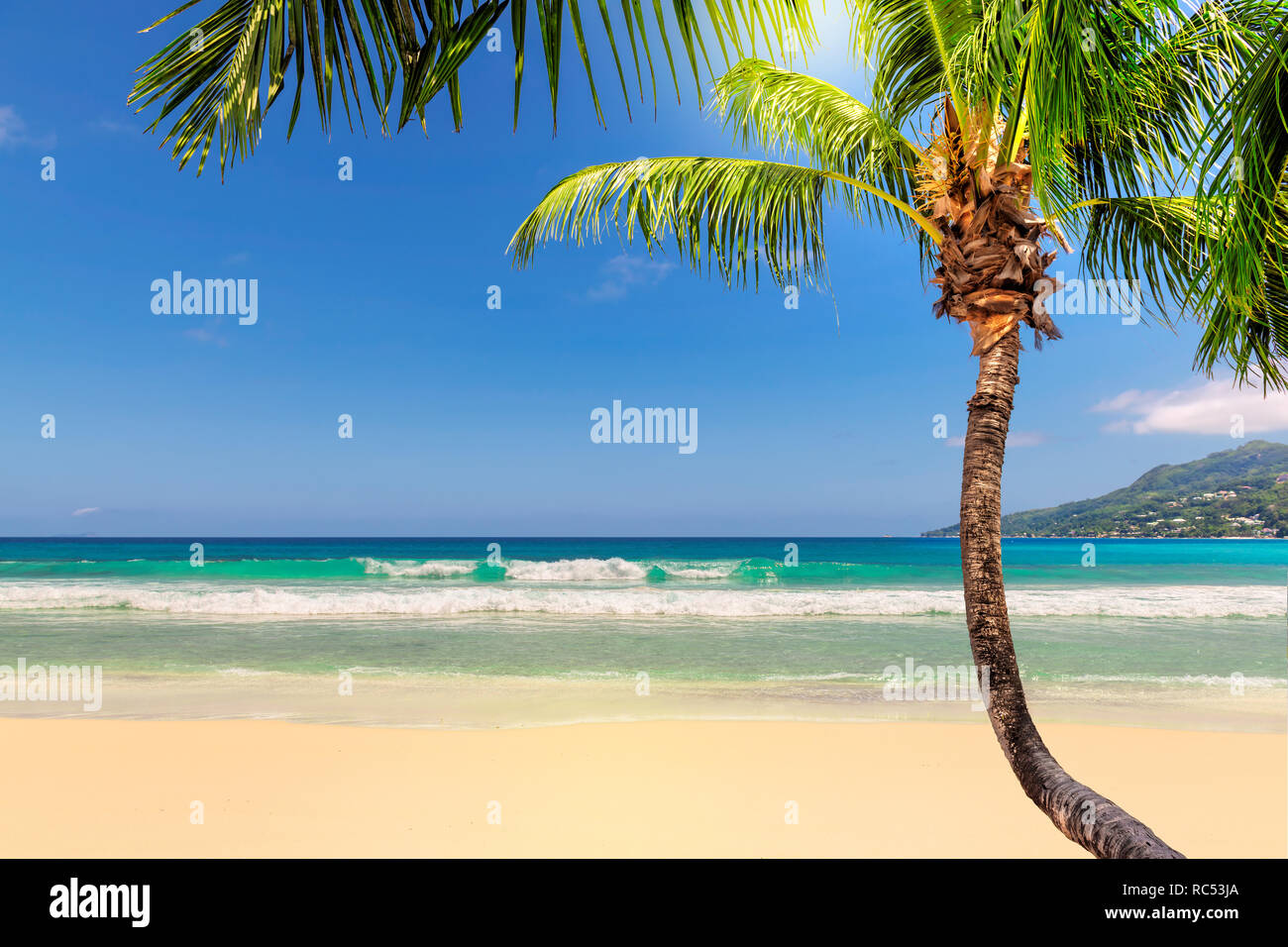 Coco beach goa hi-res stock photography and images - Alamy