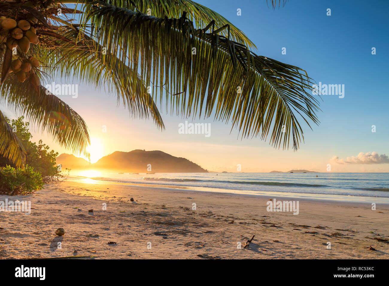 Tropical Beach Sunrise