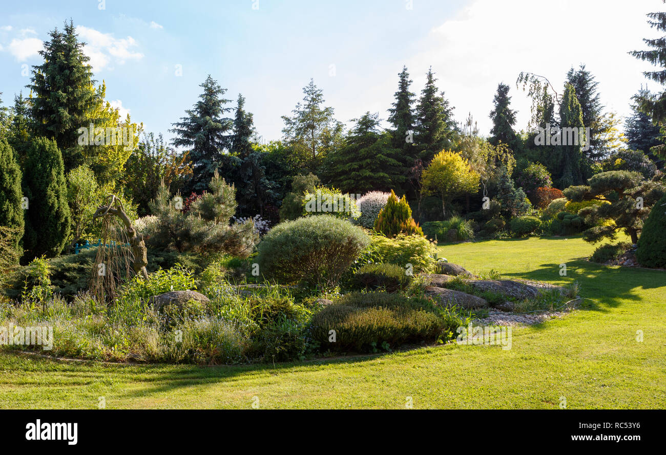 Beautiful spring garden with ornamental conifers and small garden pond ...