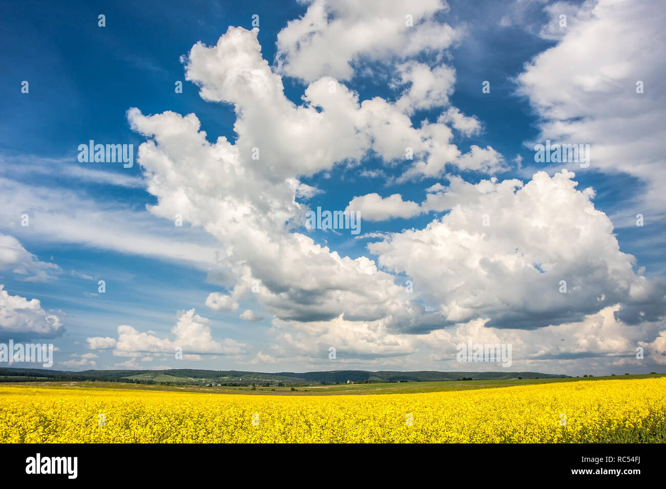 Clouds over the field of oilseeds Stock Photo - Alamy