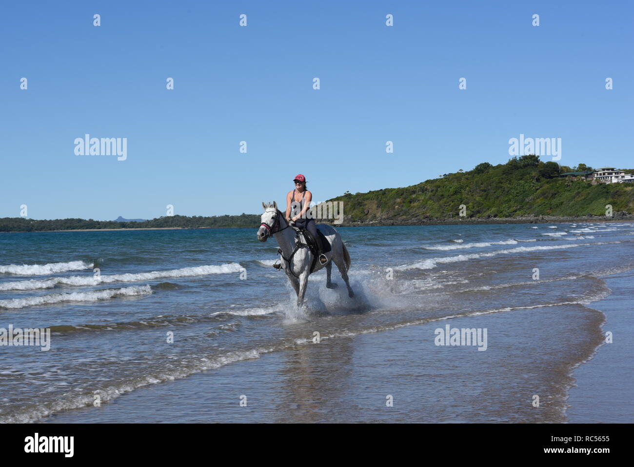 Cantering horse and rider in the shallow shoreline of Sarina Beach ...